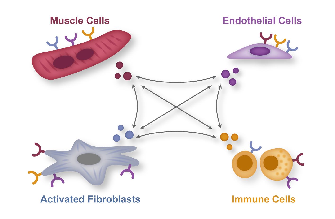 Research - Michael Alexanian Lab