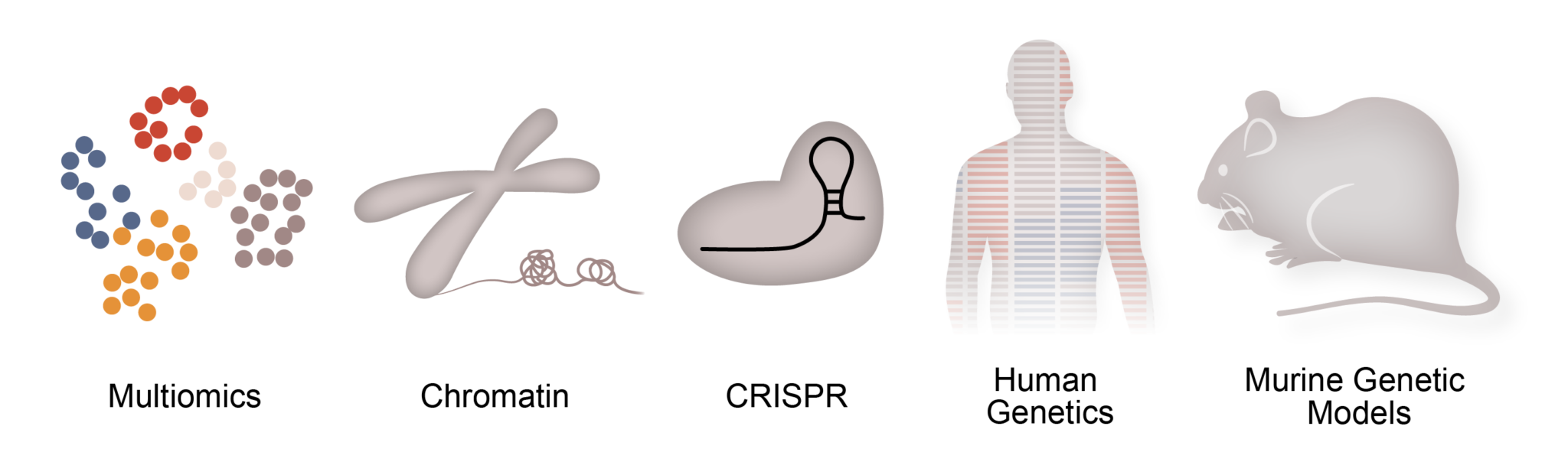 Research - Michael Alexanian Lab